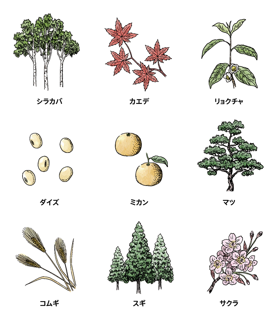 KIELT オウダーリムーバー 200mL